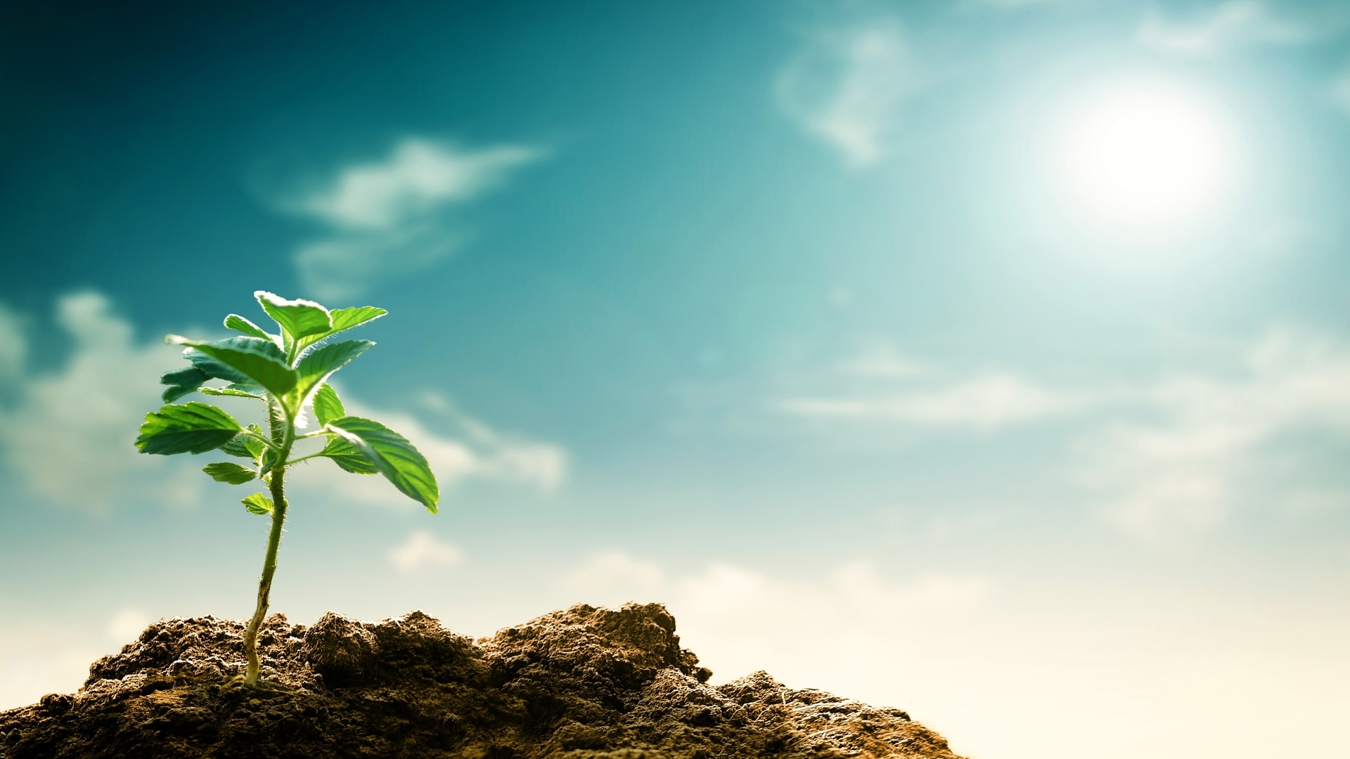 Sustainable Claims Verification Services | Bureau Veritas